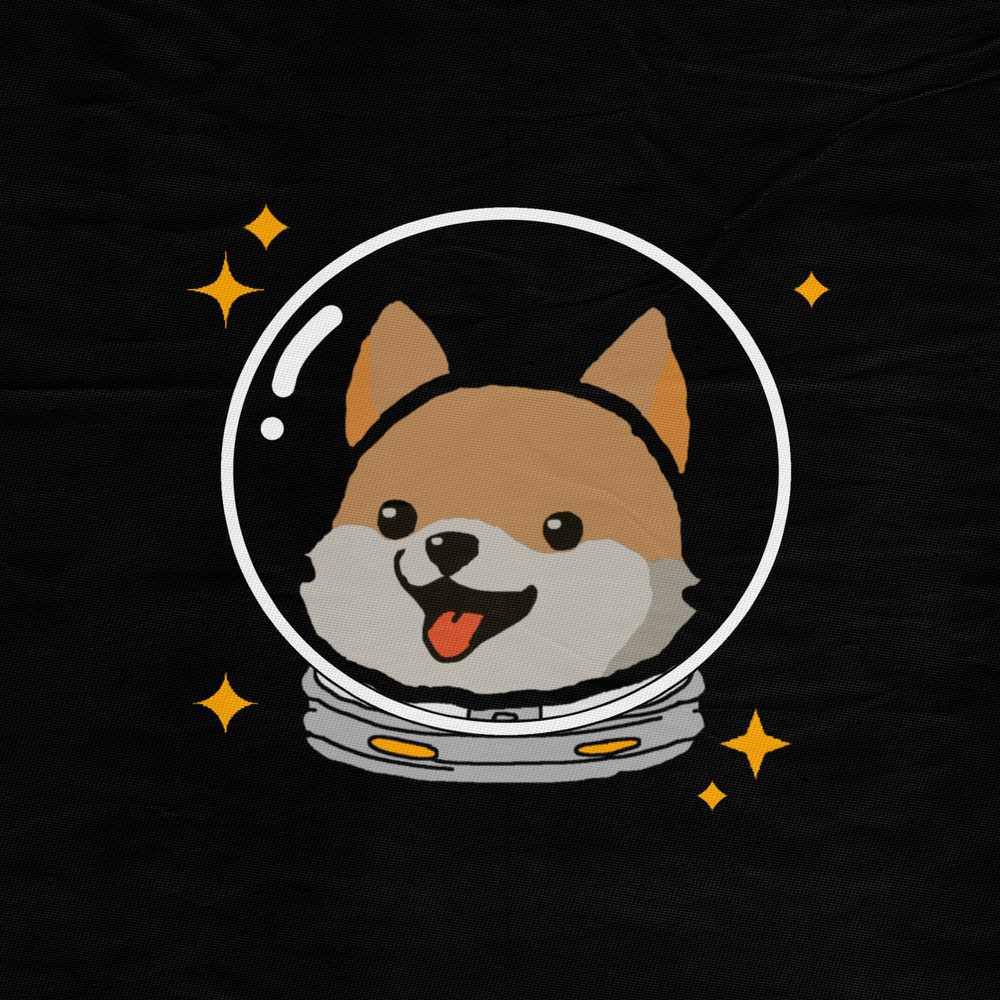 SHOOB – SpaceShoobs!